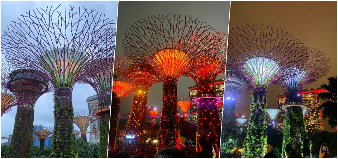 新加坡必訪｜超級樹燈光秀 SuperTree Grove，點燈時間、最佳角度懶人包
